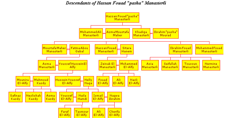 Muhammad Ali Family Tree